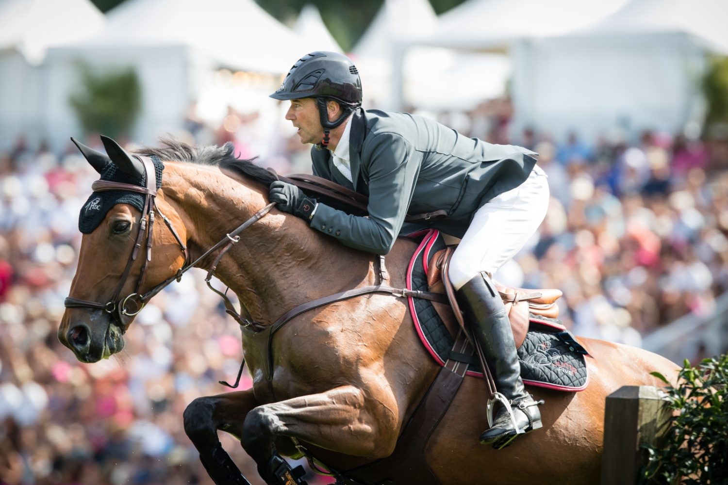Photographie Eric KNOLL. Jumping International de Dinard 2018. CSI 5 ...